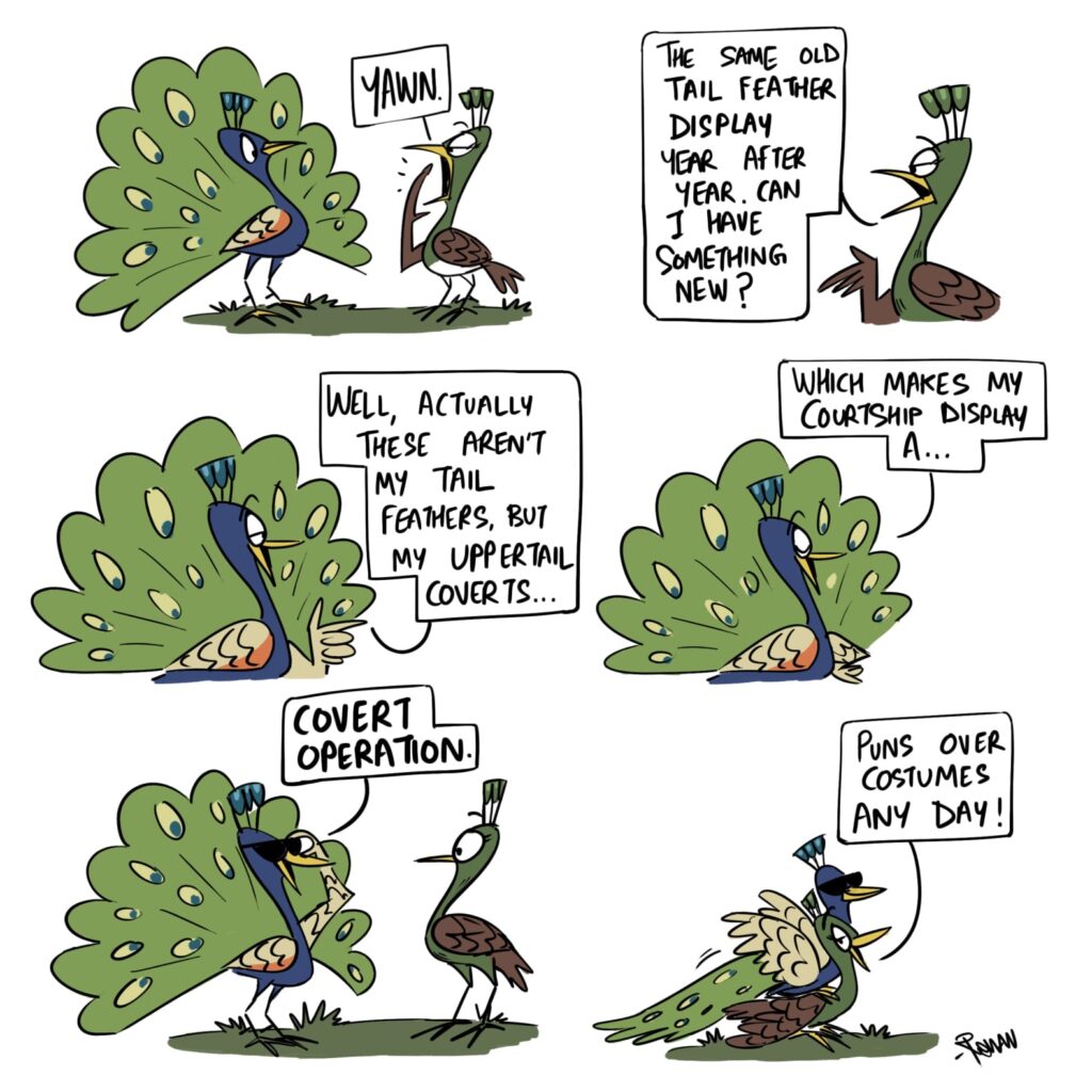 Peacock Puns: Strut into Laughter with Feathery Fun! - The Funny Puns