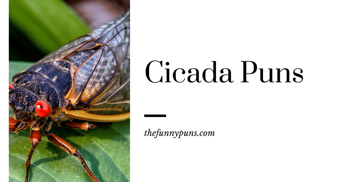 Cicada Puns: Hilarious Jokes to Buzz Up Your Day - The Funny Puns