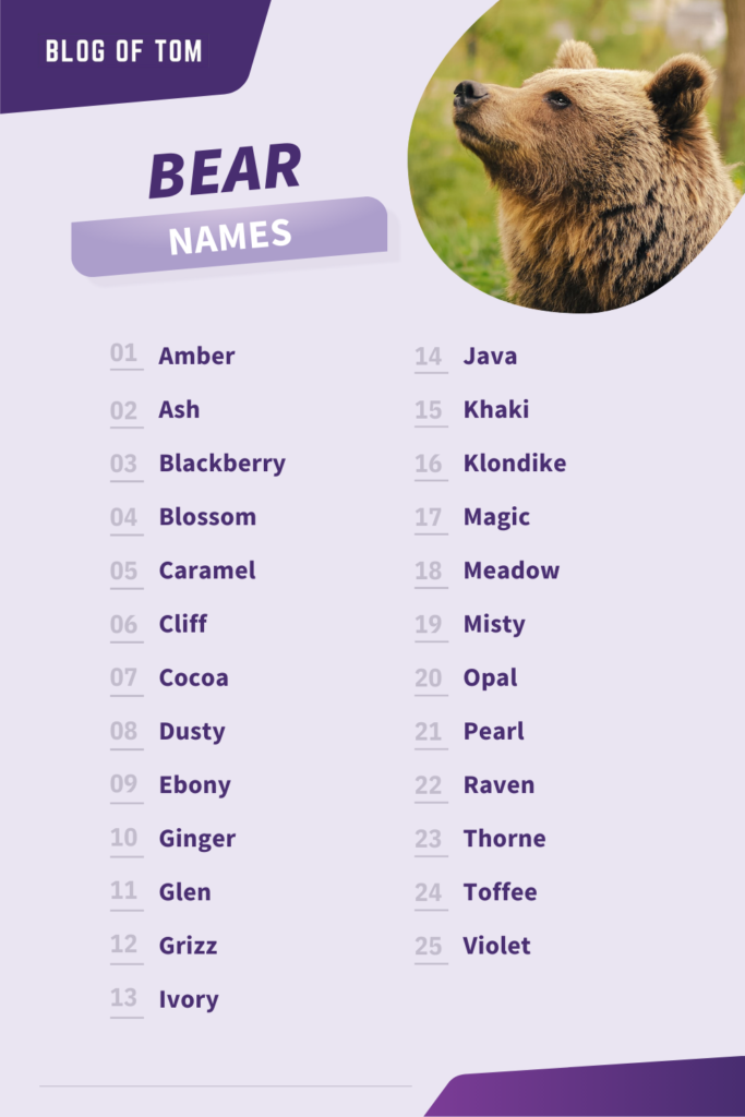 Most Popular Teddy Bear Names