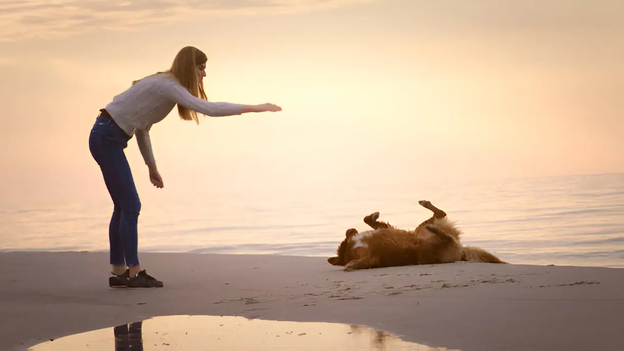 A Loving Farewell: Easing Your Dog’s Final Moments